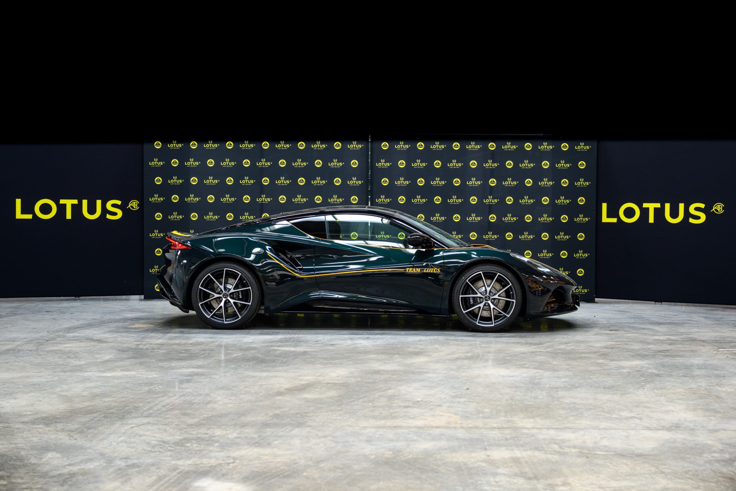 Emira "Limited edition" nr. 1 of 12 - Lotus Antwerp